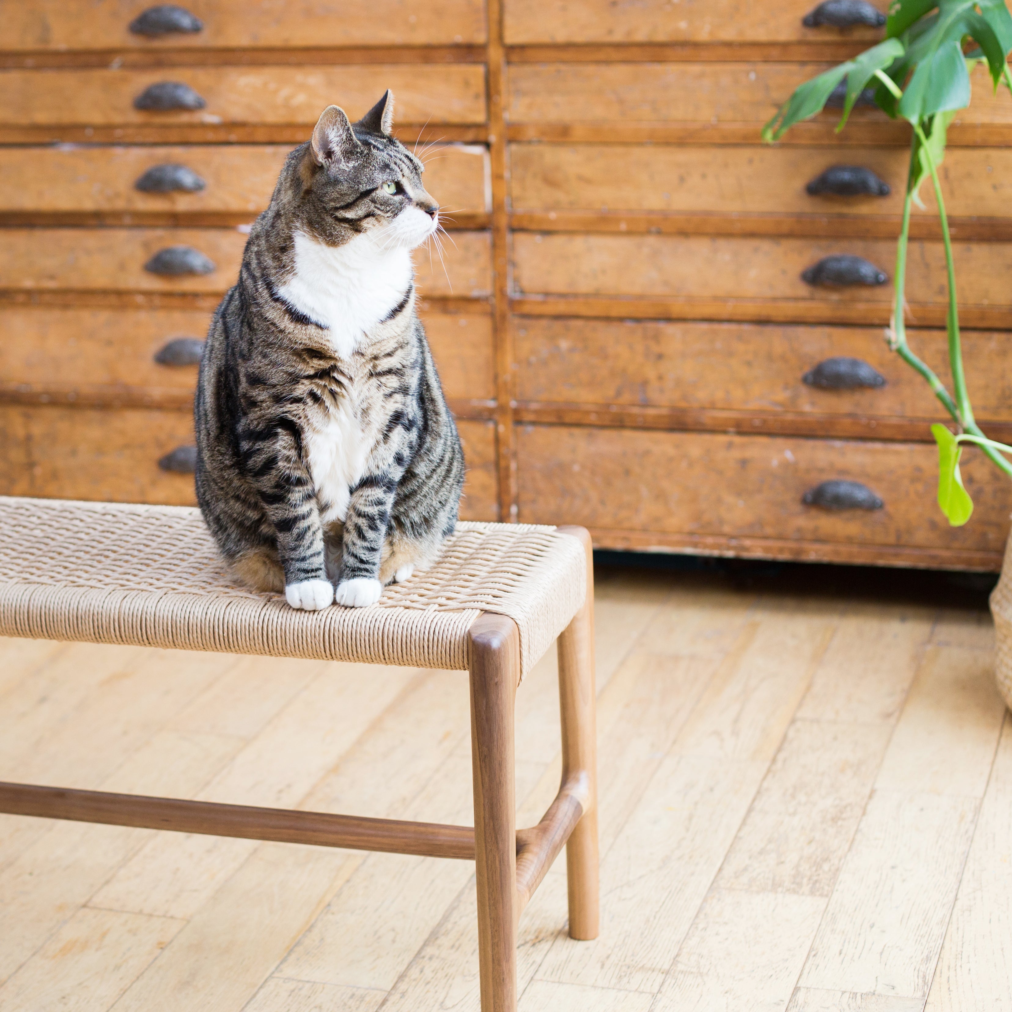 Project of the Month - December 2022 | Rubio Monocoat NZ